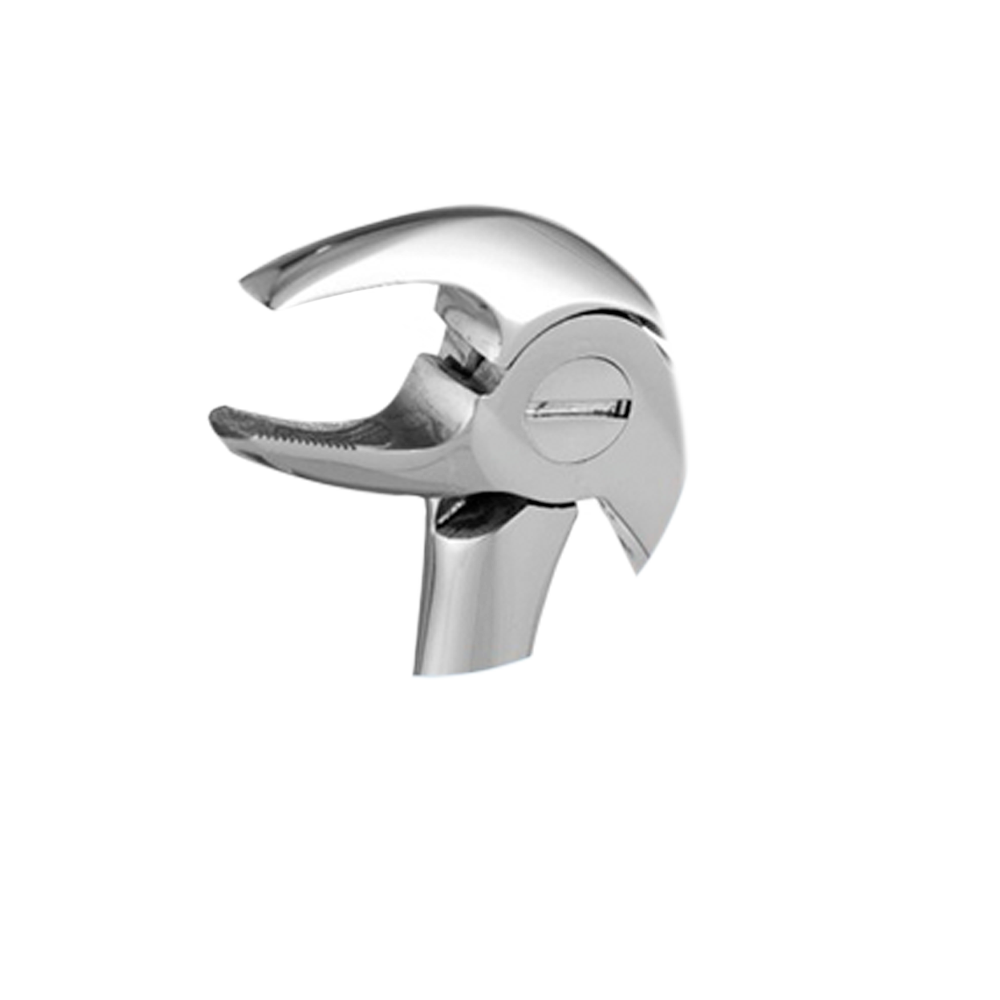 Fórceps pico de loro CSB premolares – Rigeldent