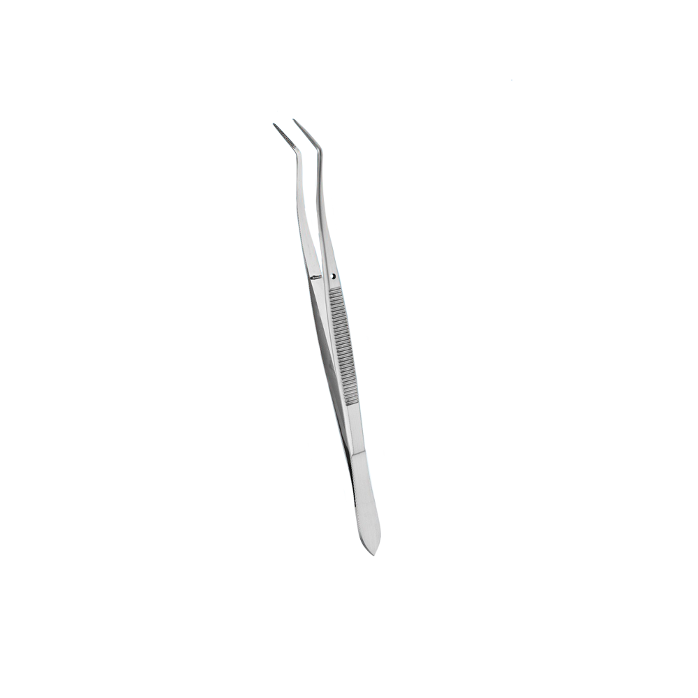 Pinza de curación – Rigeldent