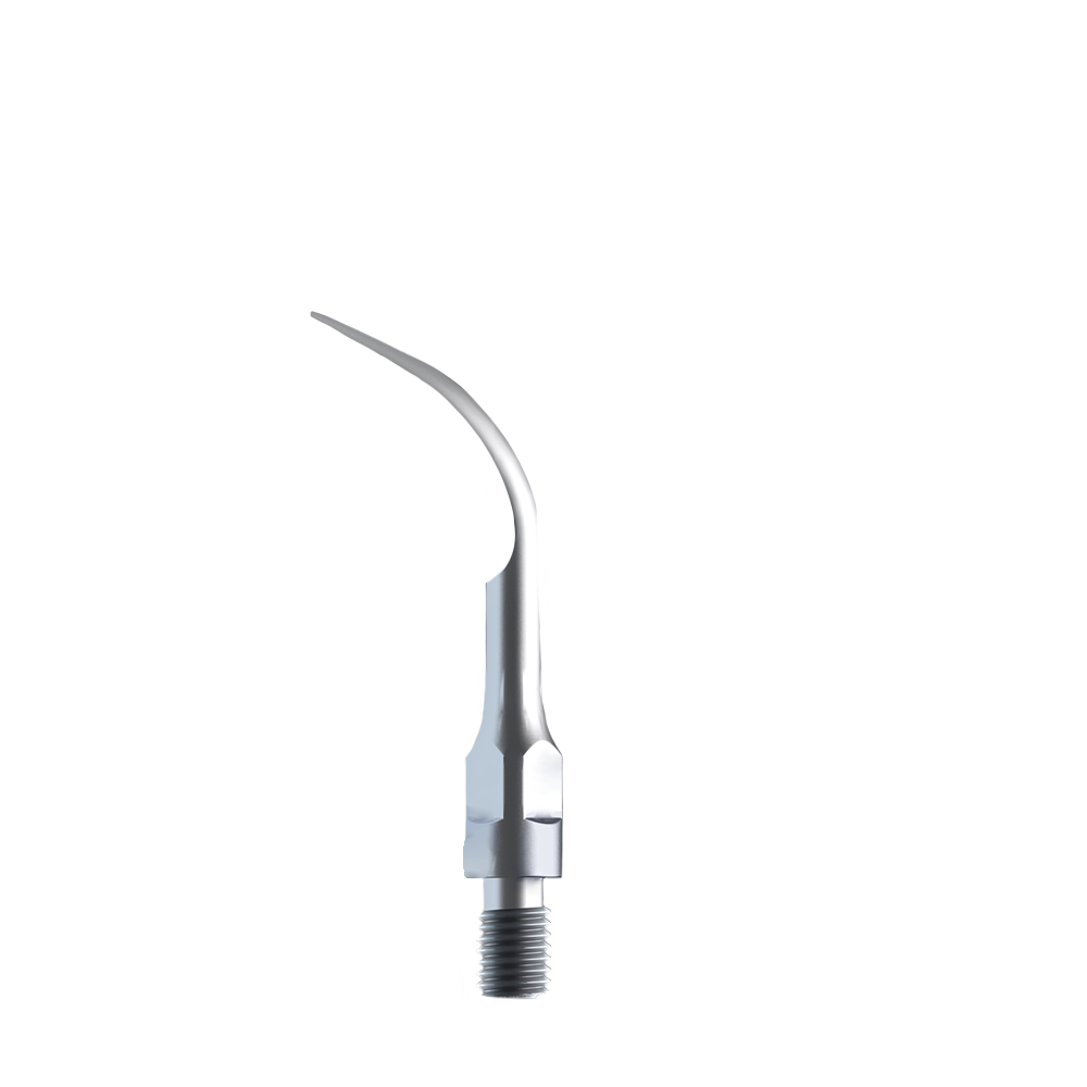 Punta de scaler ultrasónico Woodpecker, para scaler Sirona. Modelo SSP ...